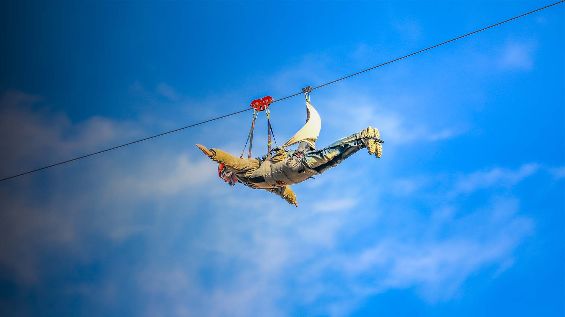 Warrior Group | Adventure Park Construction & Hospitality